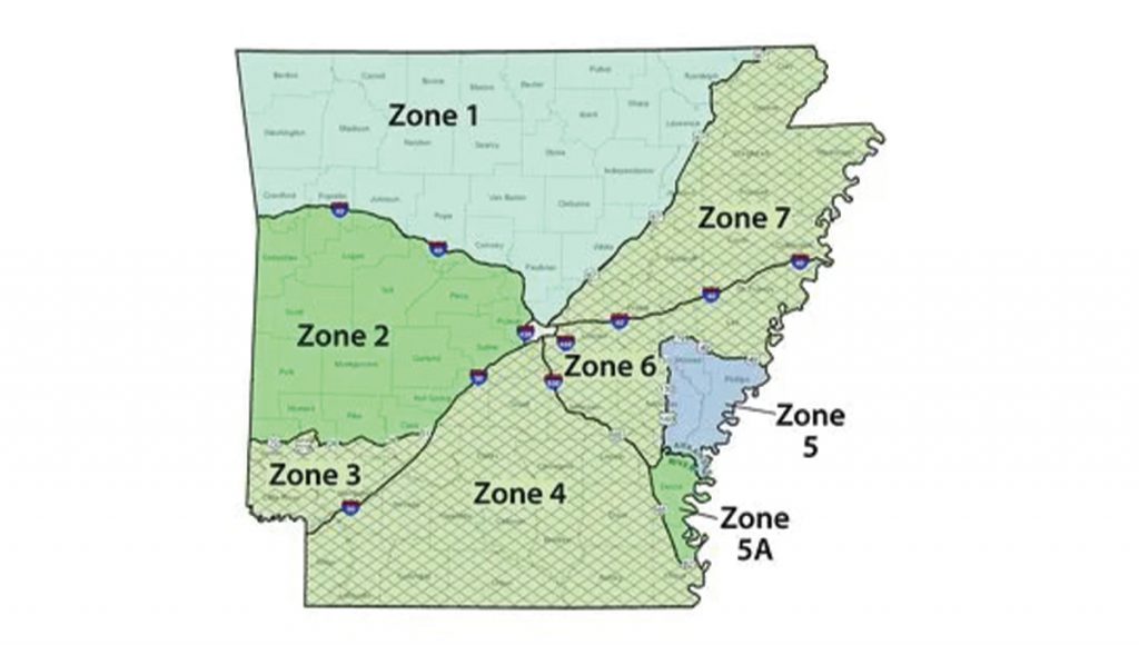 Arkansas Game and Fish Using Collars to Collect Bear Season Data