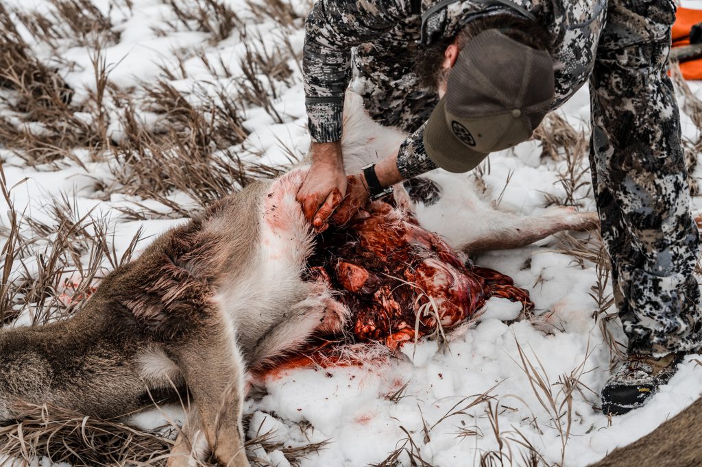 Field Dressing a Deer: A Step-By-Step Guide for New Hunters