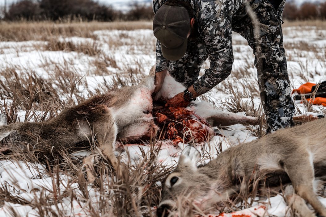 Field Dressing a Deer: A Step-By-Step Guide for New Hunters