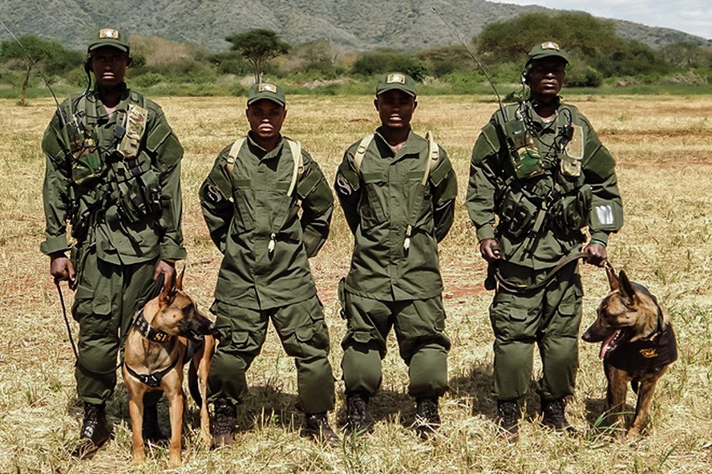 Specialist Dogs Are Kicking The Hell Out of Rhino Poachers in Africa