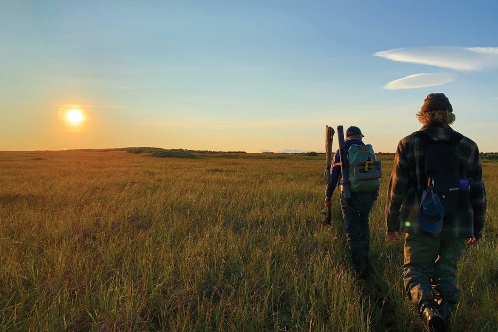 Home - Free Range American