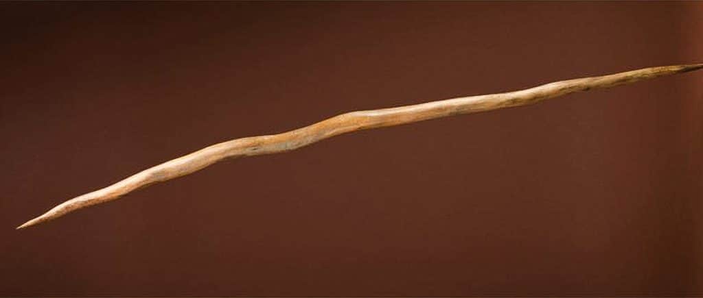 Atlatls, Pits, and Persistence: How Early Hunters Killed Big Game