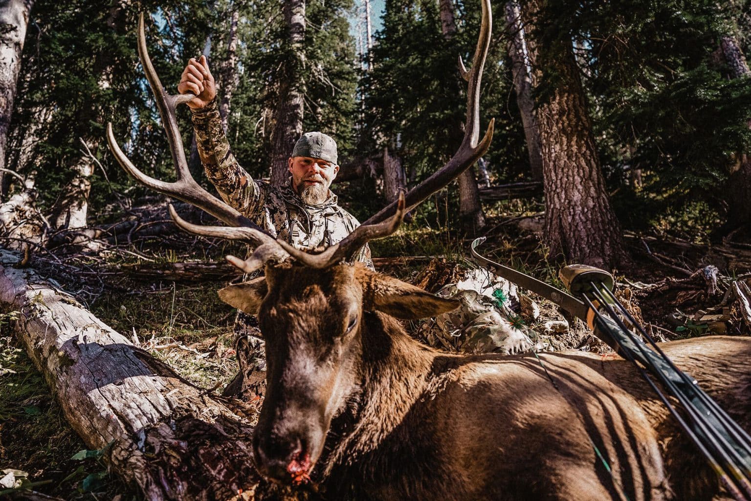 Elk Reaper: The Rise and Bowhunting Success of Aron Snyder
