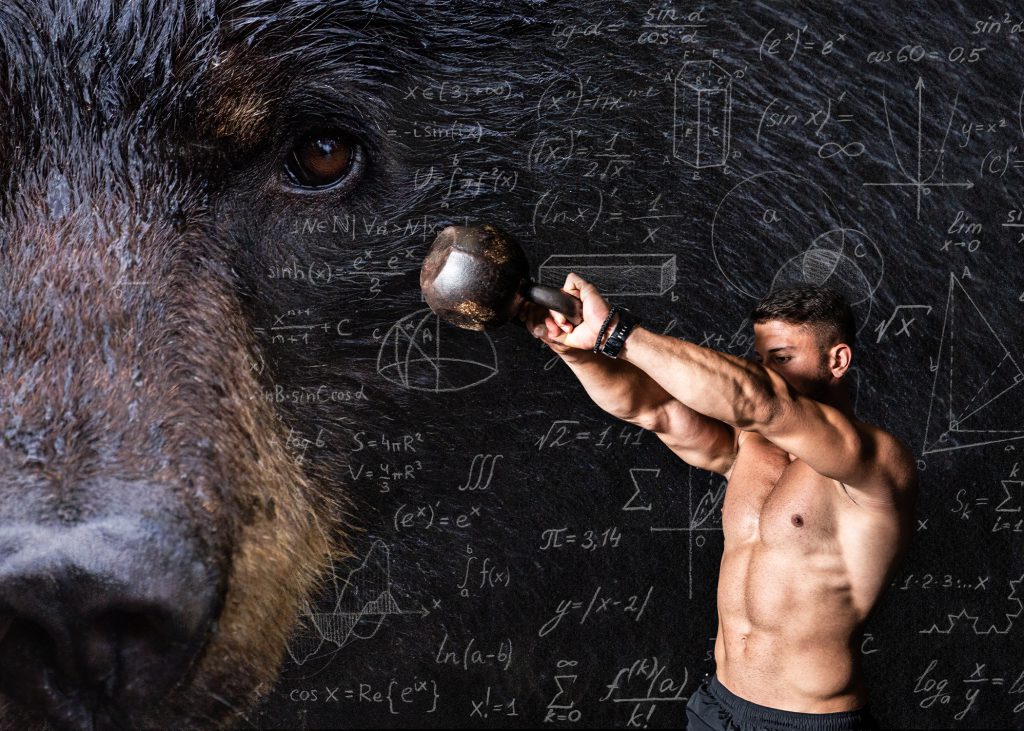 Bear Blood May Hold Key to Best Supplements for Muscle Growth