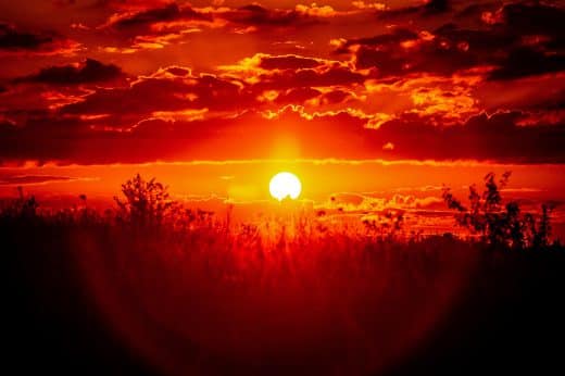 Beat the Heat: How to Not Die in Extremely High Temperatures