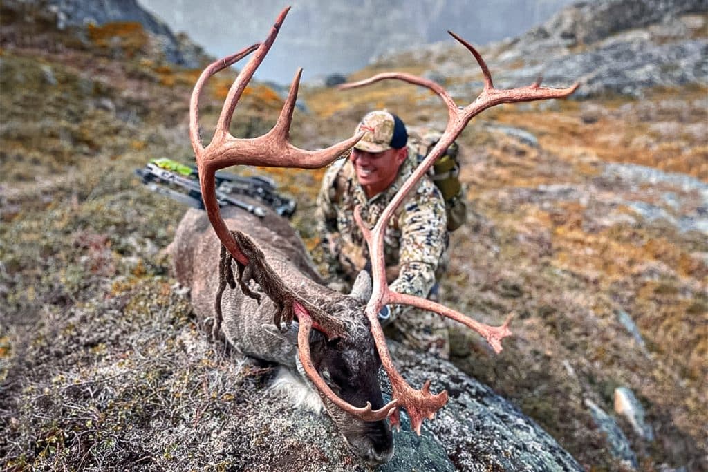 A Bowhunter’s Paradise: Caribou Hunting in Greenland