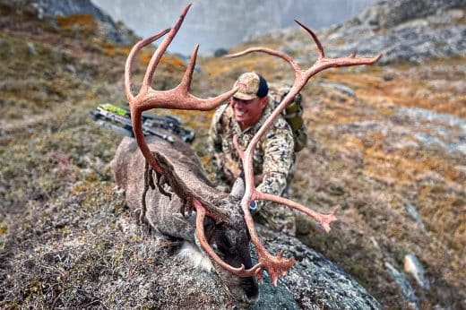 A Bowhunter’s Paradise: Caribou Hunting in Greenland