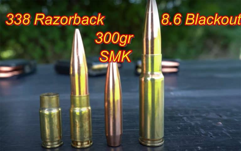 22 Eargesplitten Loudenboomer and Other Cool Wildcats