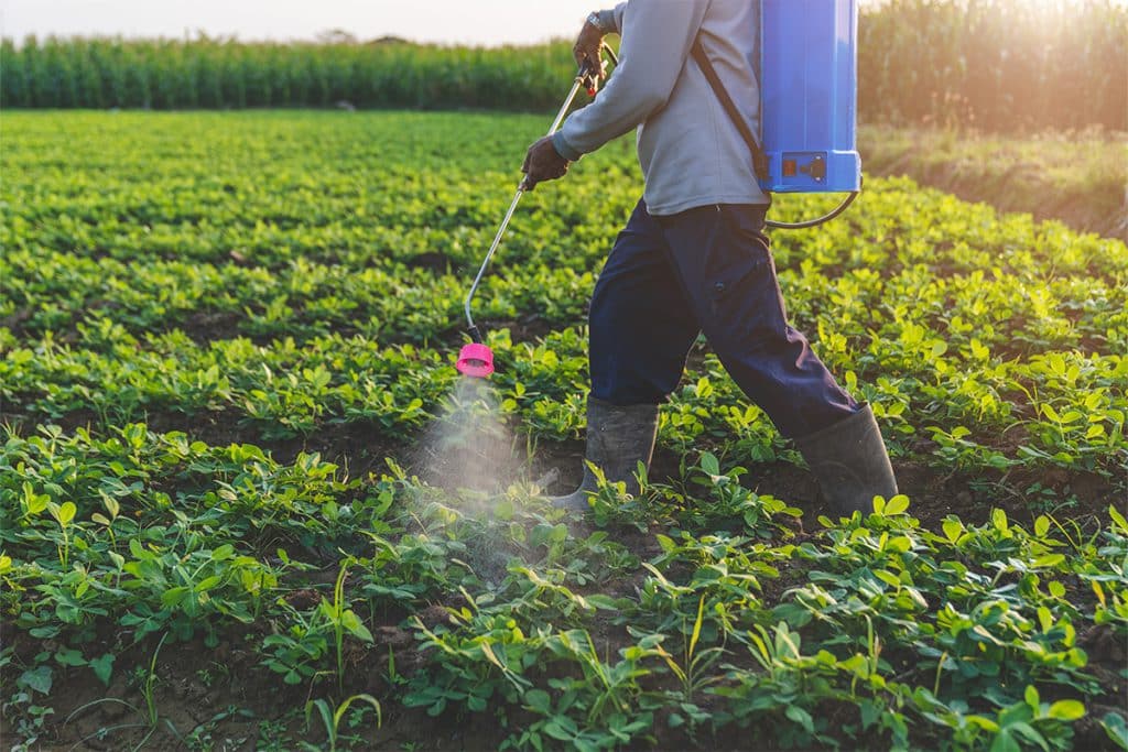 States Warn Hunters: Venison May Contain Forever Chemicals