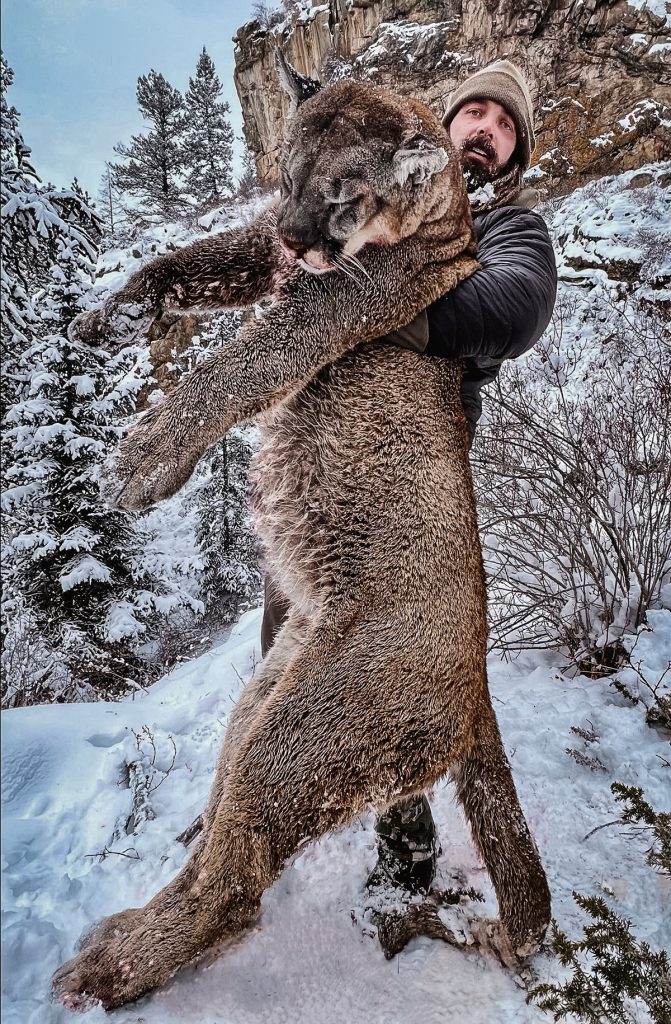 Full Story: How Derek Wolfe Killed a Dog-Hunting Mountain Lion