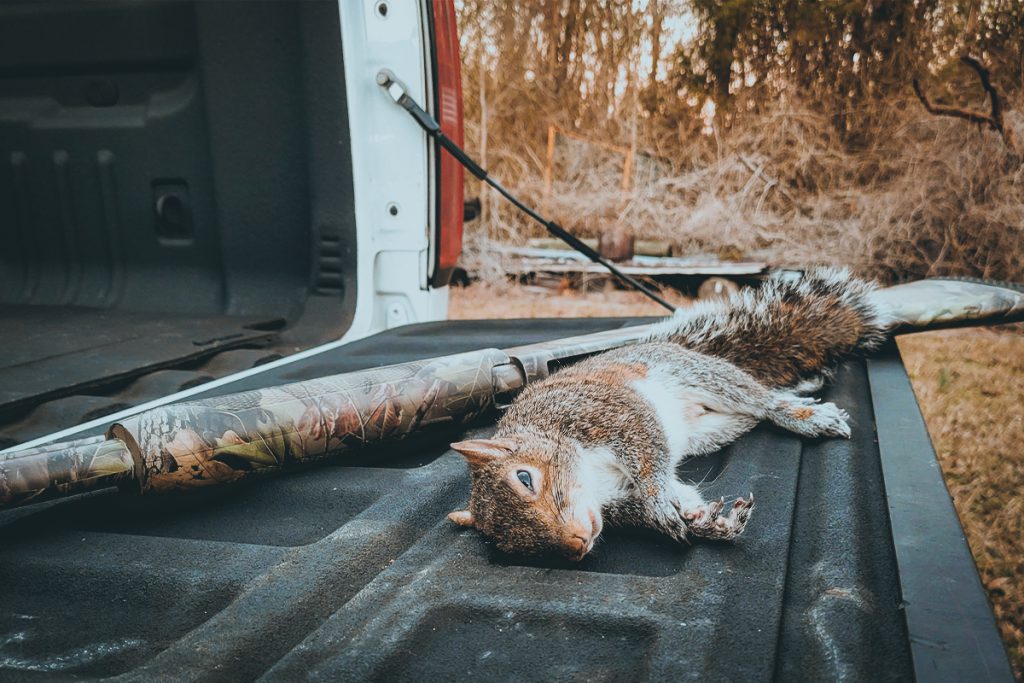 Squirrel Hunting to Build Big Game Skills: This Is the Way