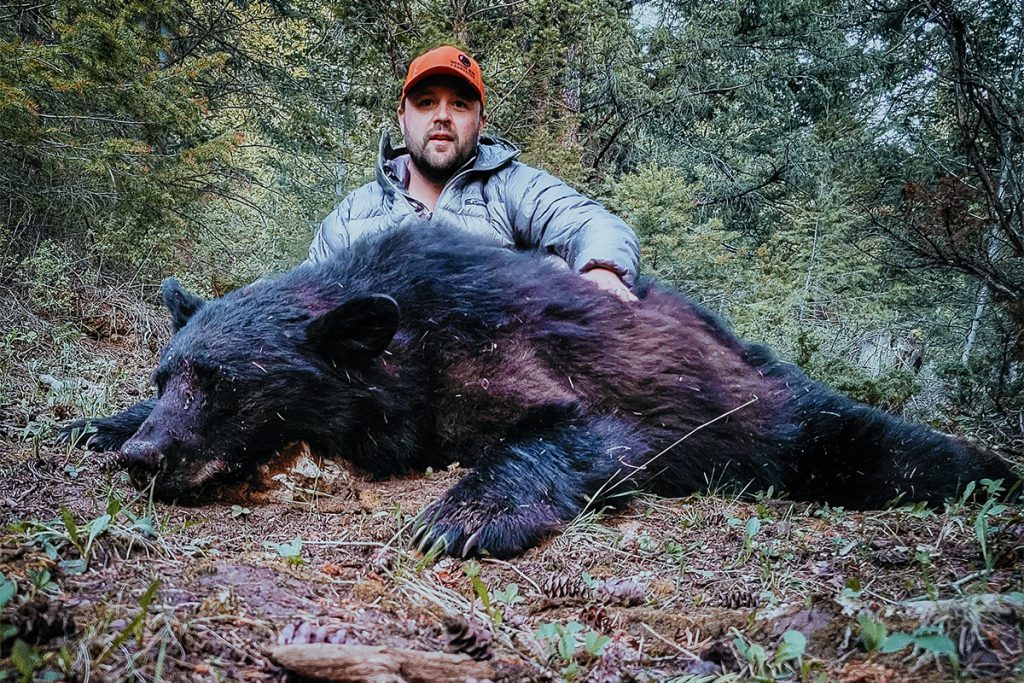 American Bear Foundation: Heroes for Bears
