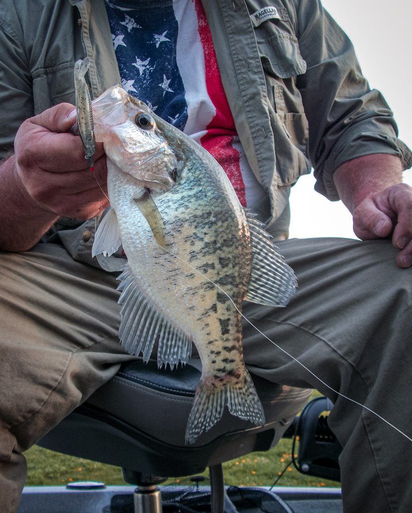 Crappie Fishing: Fast Action, Good Eatin’