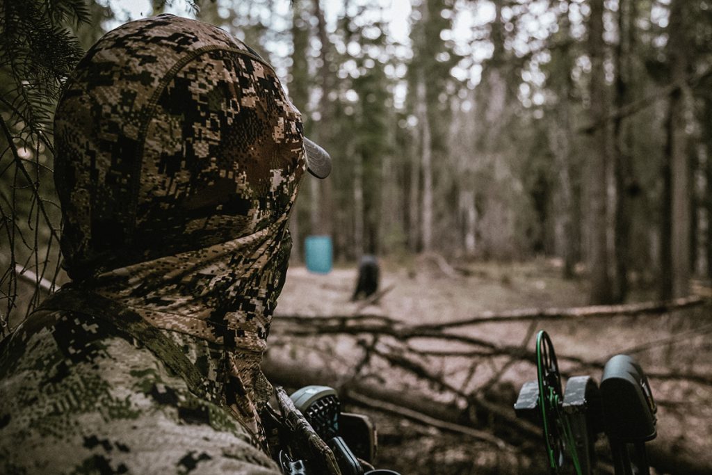 The Boss Bear: Meet the Most Badass Bear in Banff