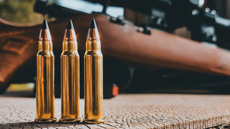 17 HMR: The Ultimate Rimfire Cartridge?