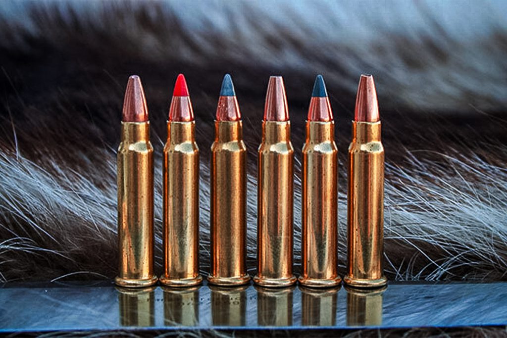 17 HMR: The Ultimate Rimfire Cartridge?
