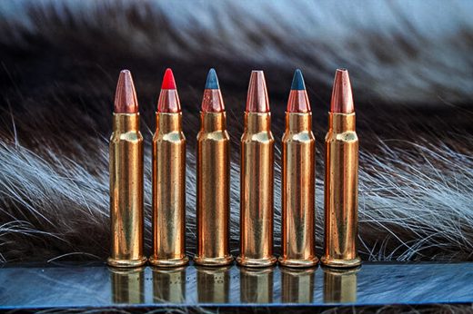 17 HMR: The Ultimate Rimfire Cartridge?