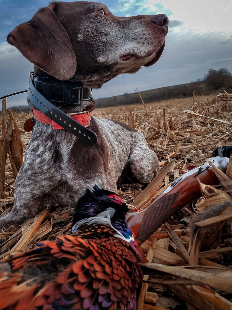 The Break Action Shotgun: Why It Will Never Die