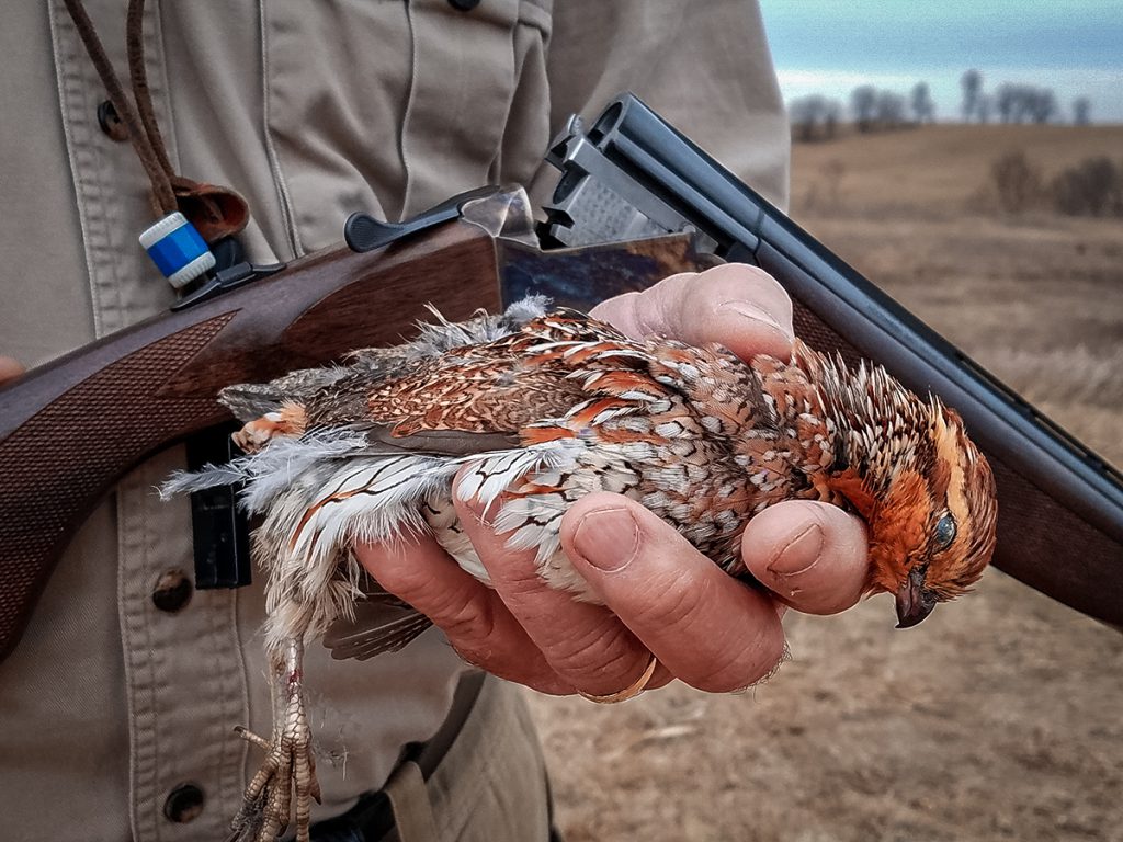 The Break Action Shotgun: Why It Will Never Die