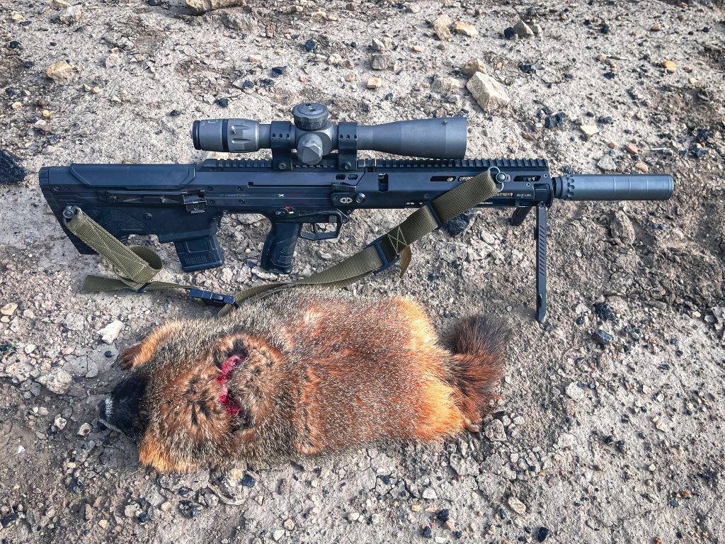 The Bullpup Doesn’t Deserve to Be in the Dog House