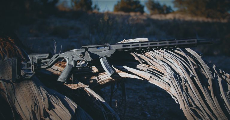 17 HMR: The Ultimate Rimfire Cartridge?