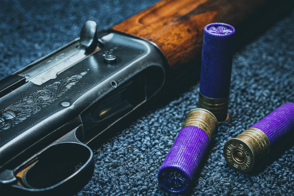 The Automatic Shotgun, or Autoloader, and How It Evolved