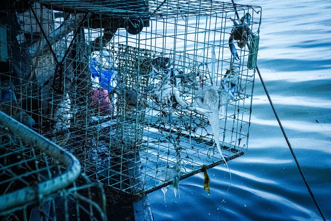 Luke McFadden: A Young Crabber on the Cutthroat Chesapeake