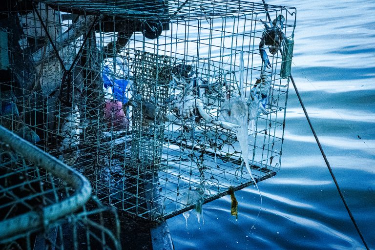 Luke McFadden: A Young Crabber on the Cutthroat Chesapeake