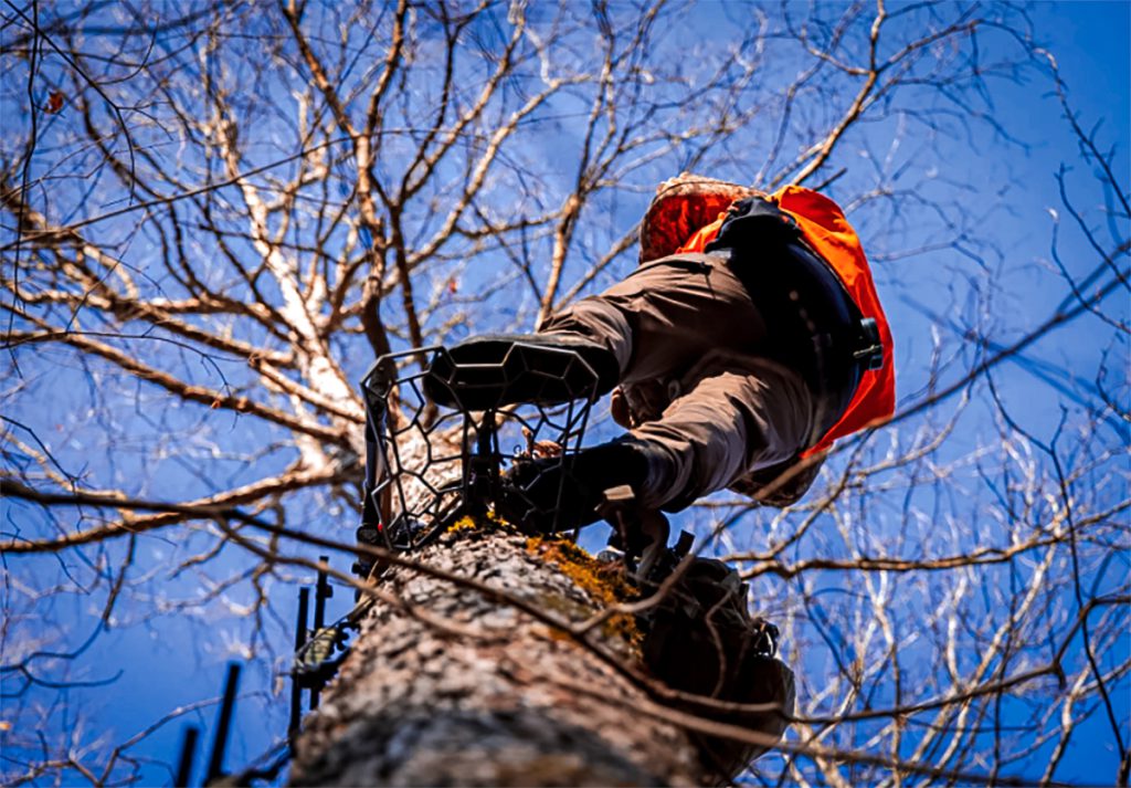 Saddle Hunting and Hunting Saddles: A No BS Beginner's Guide