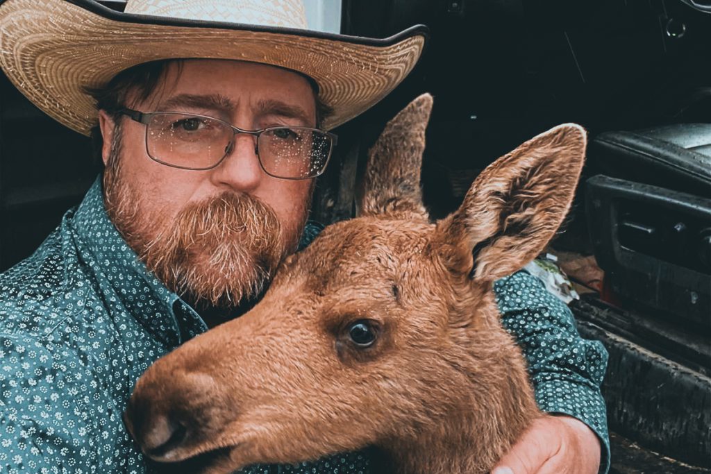 Canadian Hunter Loses Job for Saving Baby Moose