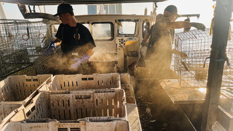 Luke McFadden: A Young Crabber on the Cutthroat Chesapeake