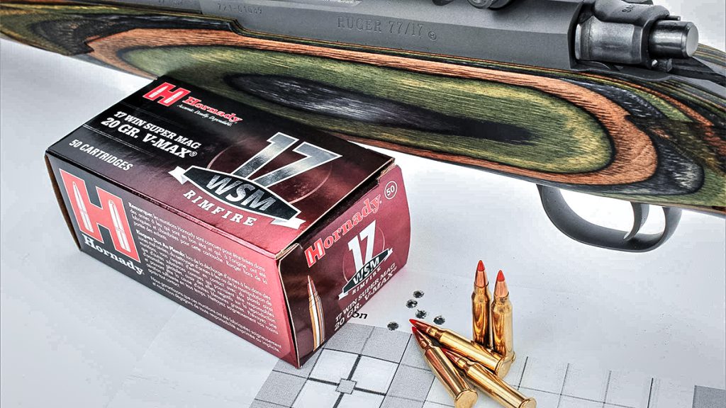 The 17 Winchester Super Magnum: A Nail Gun’s Bastard Child